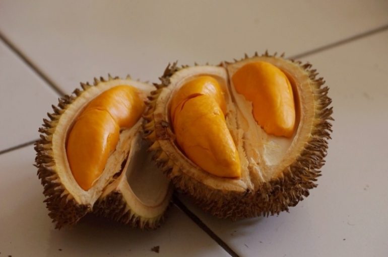 LimaKaki: Buah Papakin, Buah Unik Khas Kalimantan yang Mirip dengan Durian